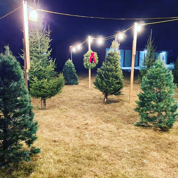 Neck of the Woods Christmas Trees - Project Buy Local